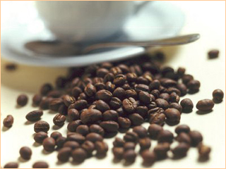 UDC Brasil lança workshops para especialistas e apaixonados por café